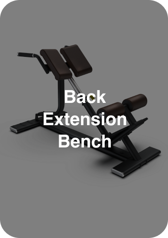 Back Extension Bench | Spinal Support & Strength | Intenza