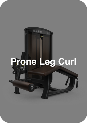 Ease Line Triceps Extension | Accessible Arm Training | Intenza