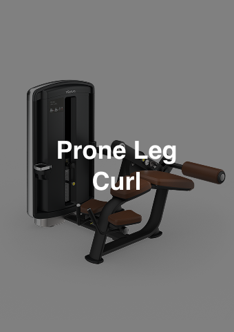 Prone Leg Curl | Hamstring Isolation & Strength | Intenza