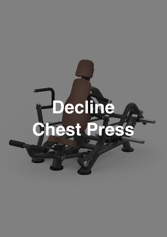Decline Chest Press | Lower Chest Strength | Intenza